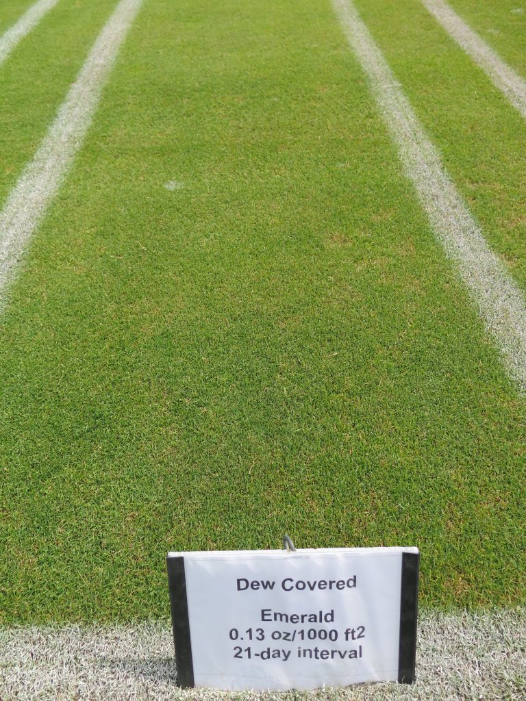 Summer 2017 Dollar Spot Dew Removal | Turfgrass Diagnostic Lab